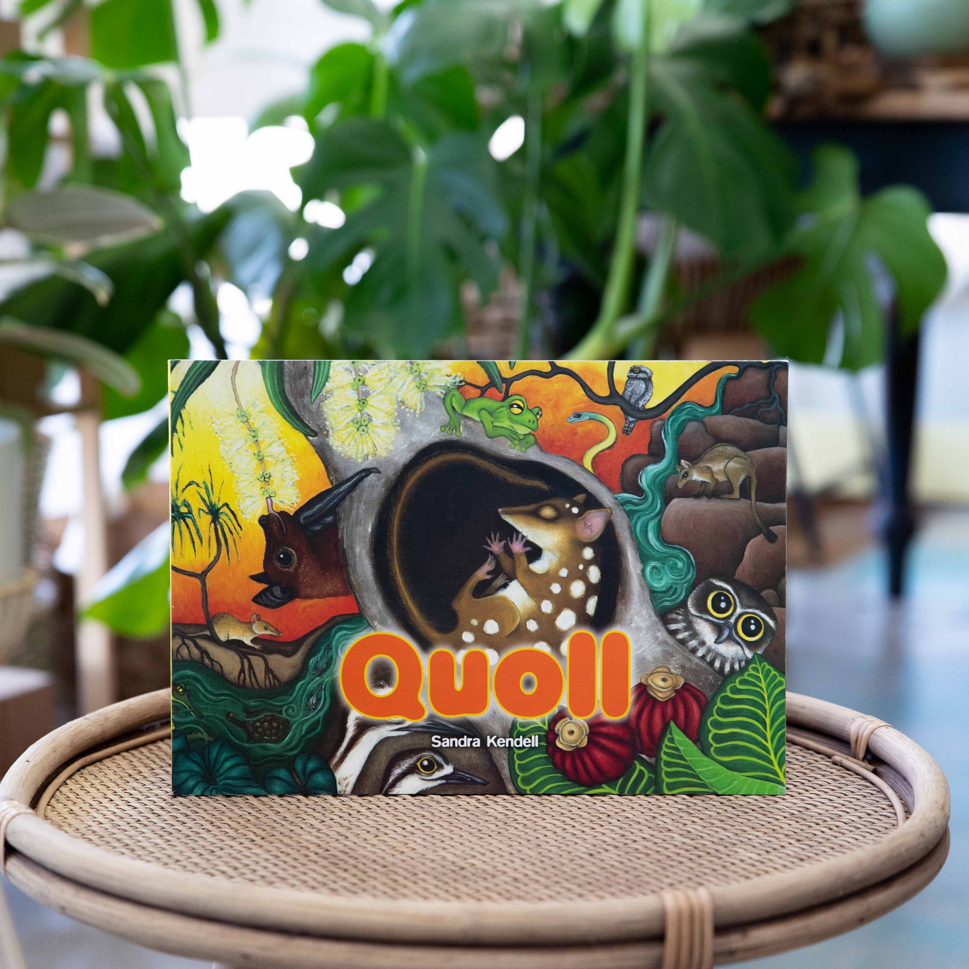 Quoll – Windy Hollow Books